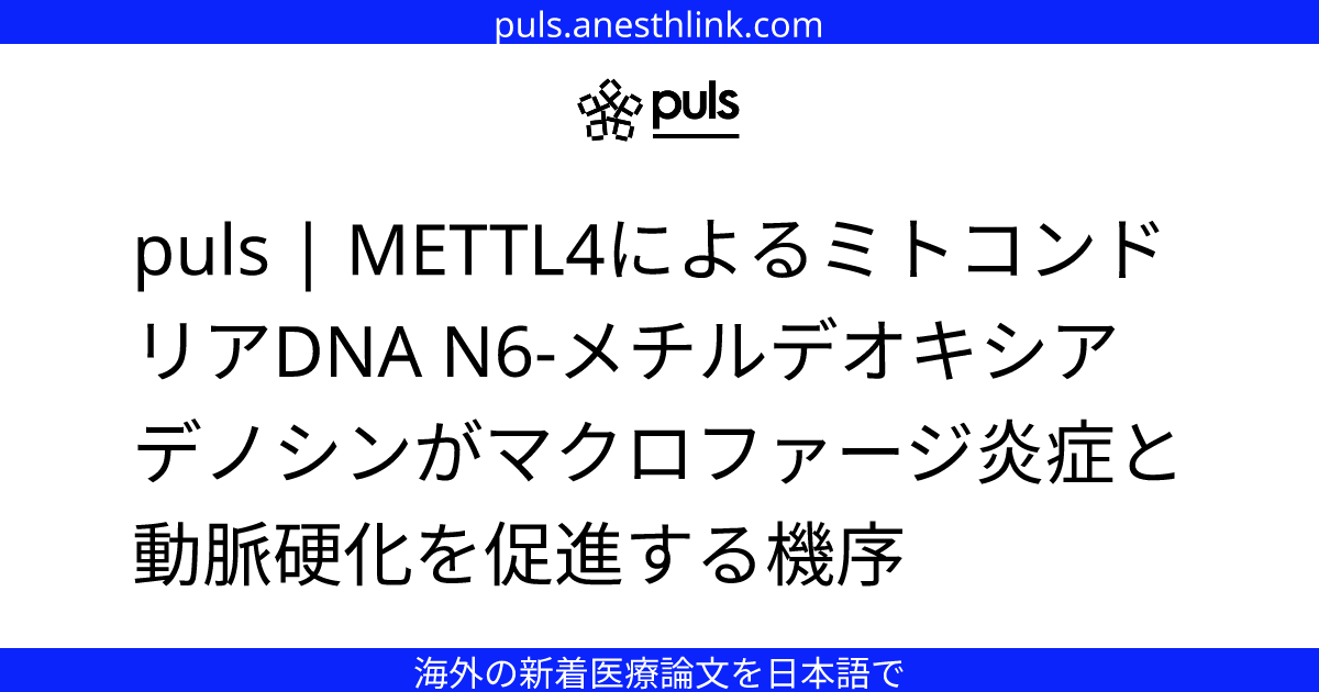 puls | METTL4によるミトコンドリアDNA N6-メチルデオキシアデノシンがマクロファージ炎症と動脈硬化を促進する機序